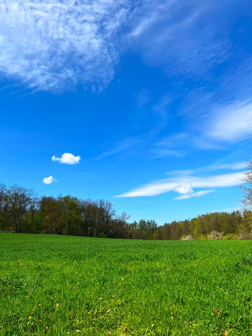 Solve Nature jigsaw puzzle online with 12 pieces