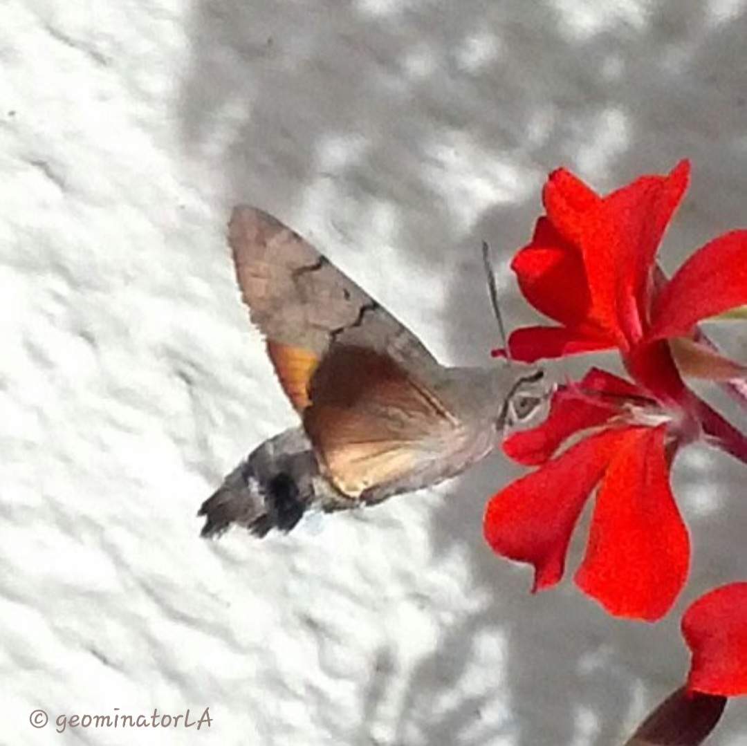 Solve Puzzle Spaß 1 jigsaw puzzle online with 121 pieces