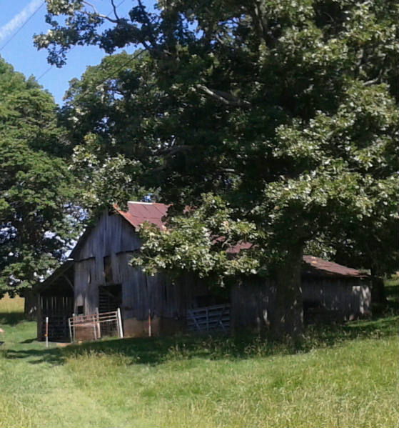 Solve The Laughing Barn for Ellen jigsaw puzzle online with 9 pieces