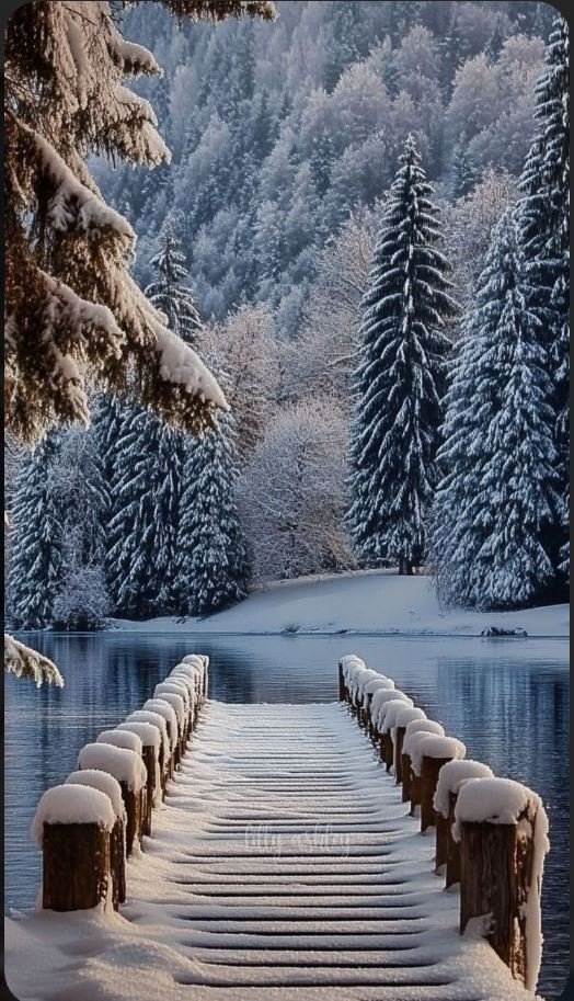 Solve Beautiful dock on the lake jigsaw puzzle online with 40 pieces