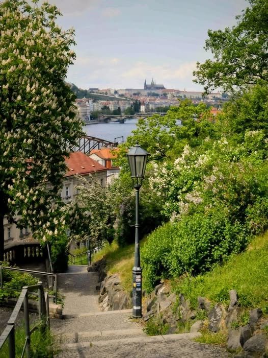 Solve Praha jigsaw puzzle online with 30 pieces