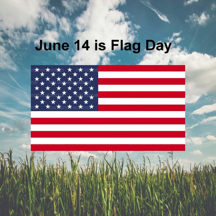 Solve Flag Day jigsaw puzzle online with 25 pieces