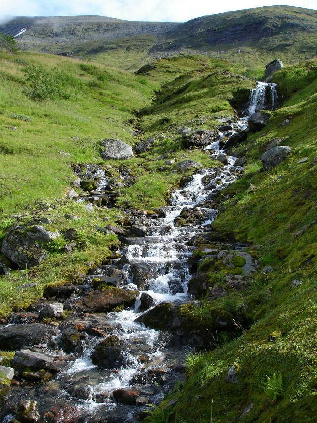 Solve Mountain stream jigsaw puzzle online with 20 pieces