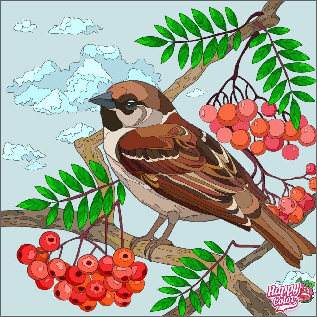 Solve PUZZLE - Sparrow And Berries jigsaw puzzle online with 196 pieces