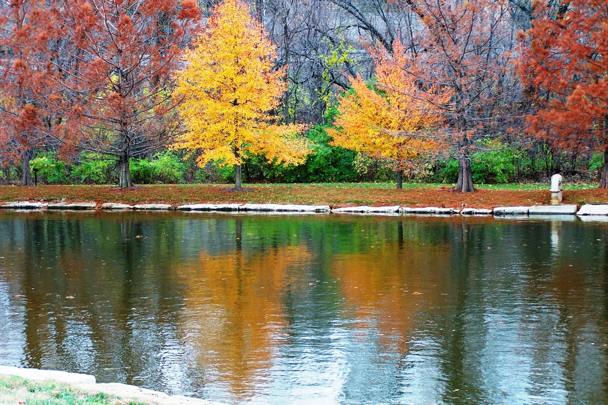 Solve Autumn Reflections jigsaw puzzle online with 117 pieces