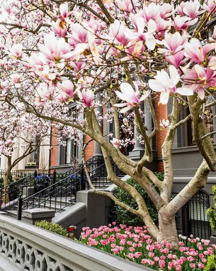 Solve The magic of seasons jigsaw puzzle online with 80 pieces