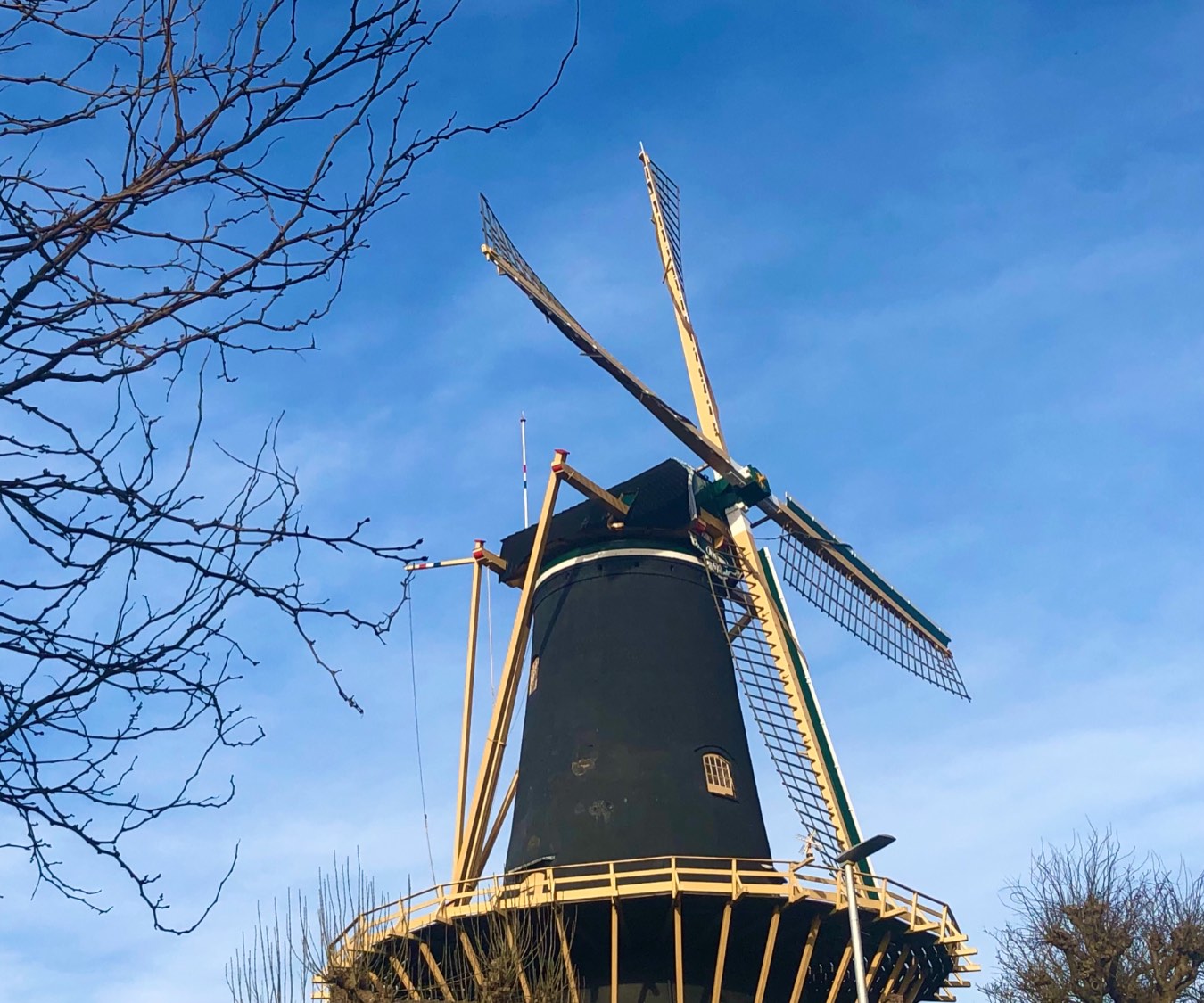 Solve Windmill in Woerden jigsaw puzzle online with 56 pieces