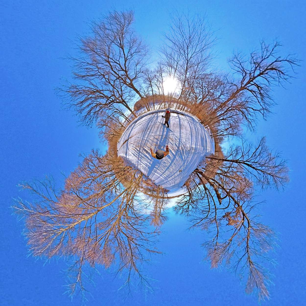 Solve Timberlane County Park jigsaw puzzle online with 100 pieces