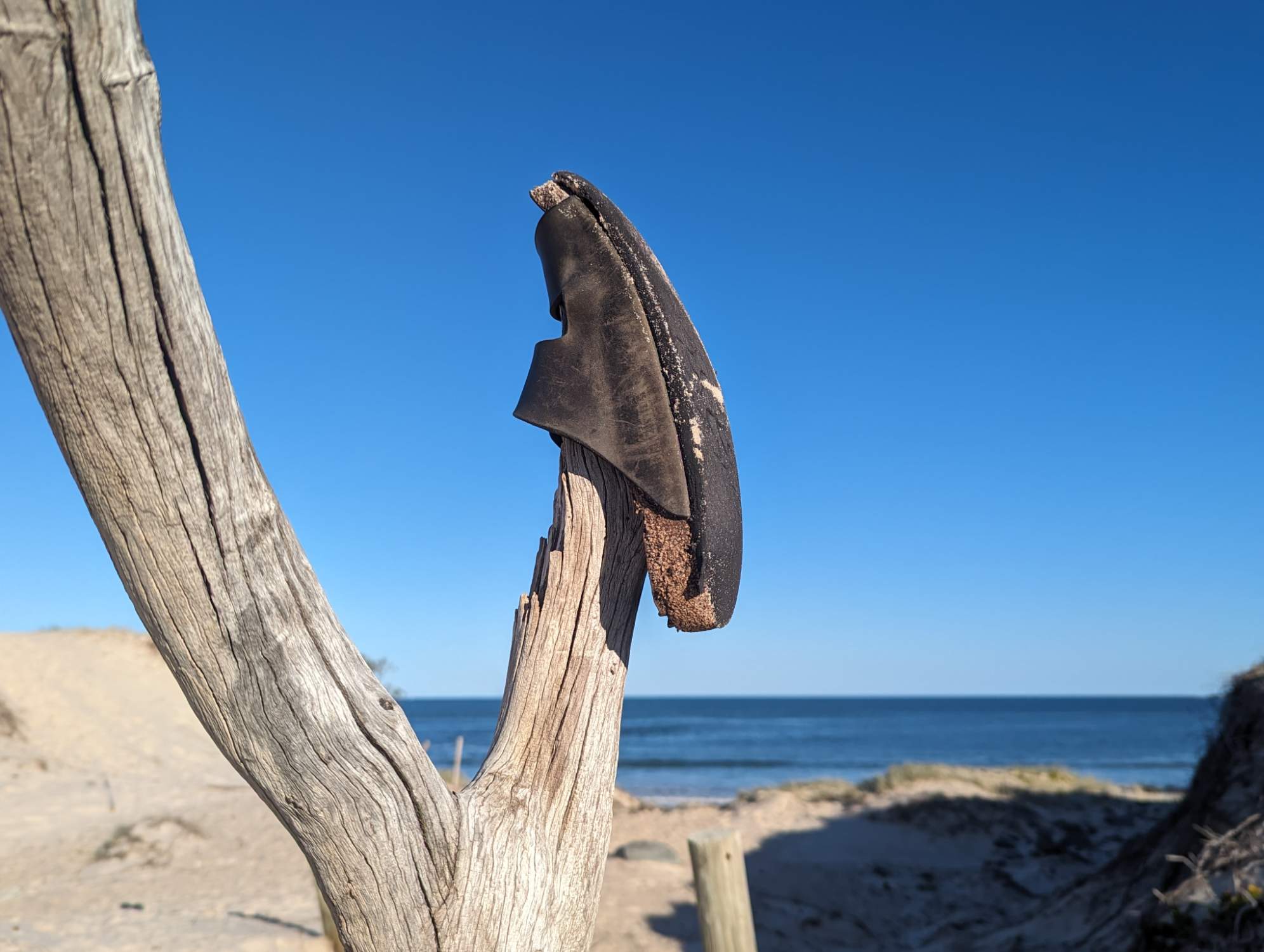 Solve shoe art jigsaw puzzle online with 336 pieces