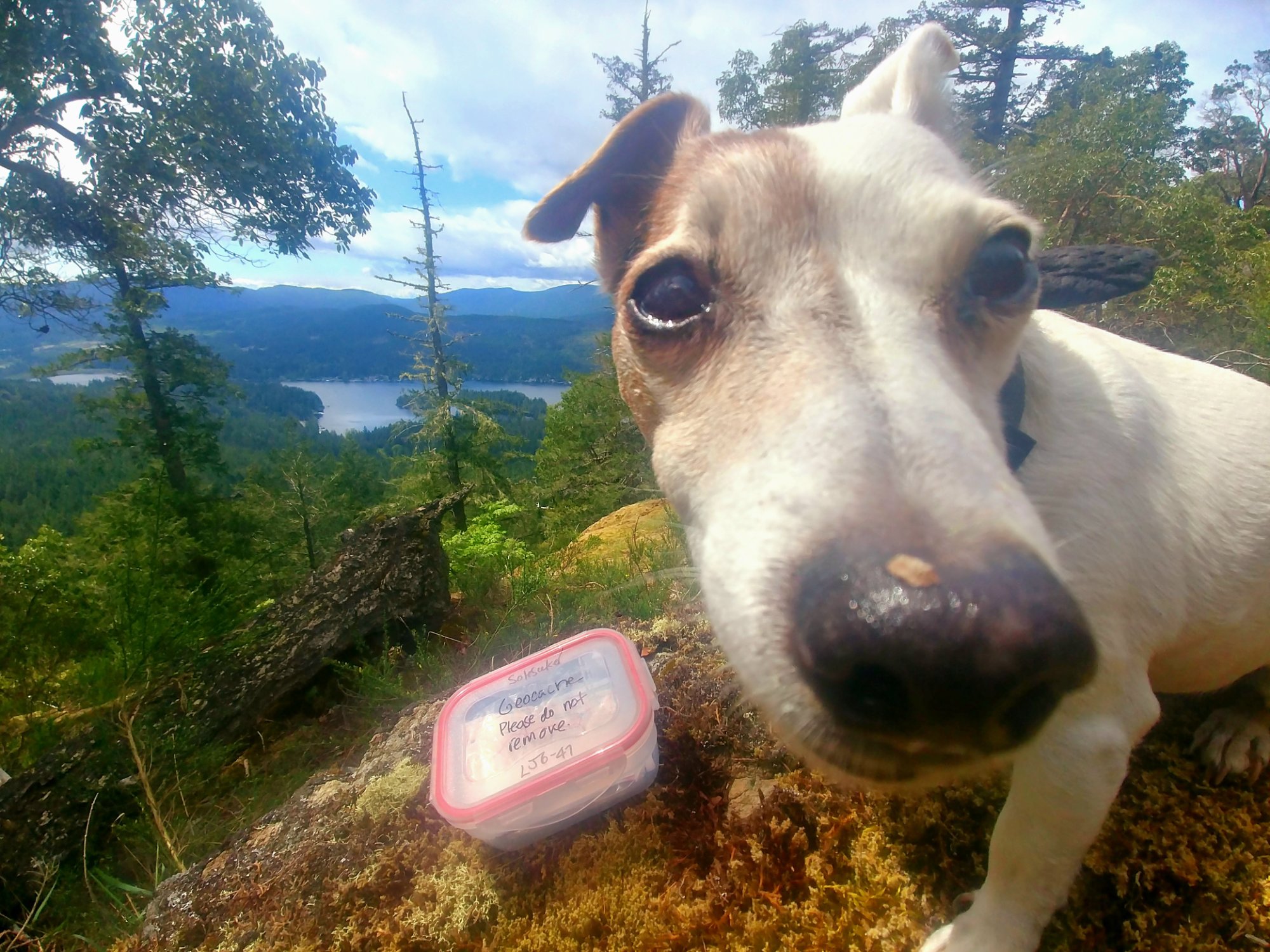 Solve Mt Baldy, Shawnigan Lake jigsaw puzzle online with 192 pieces