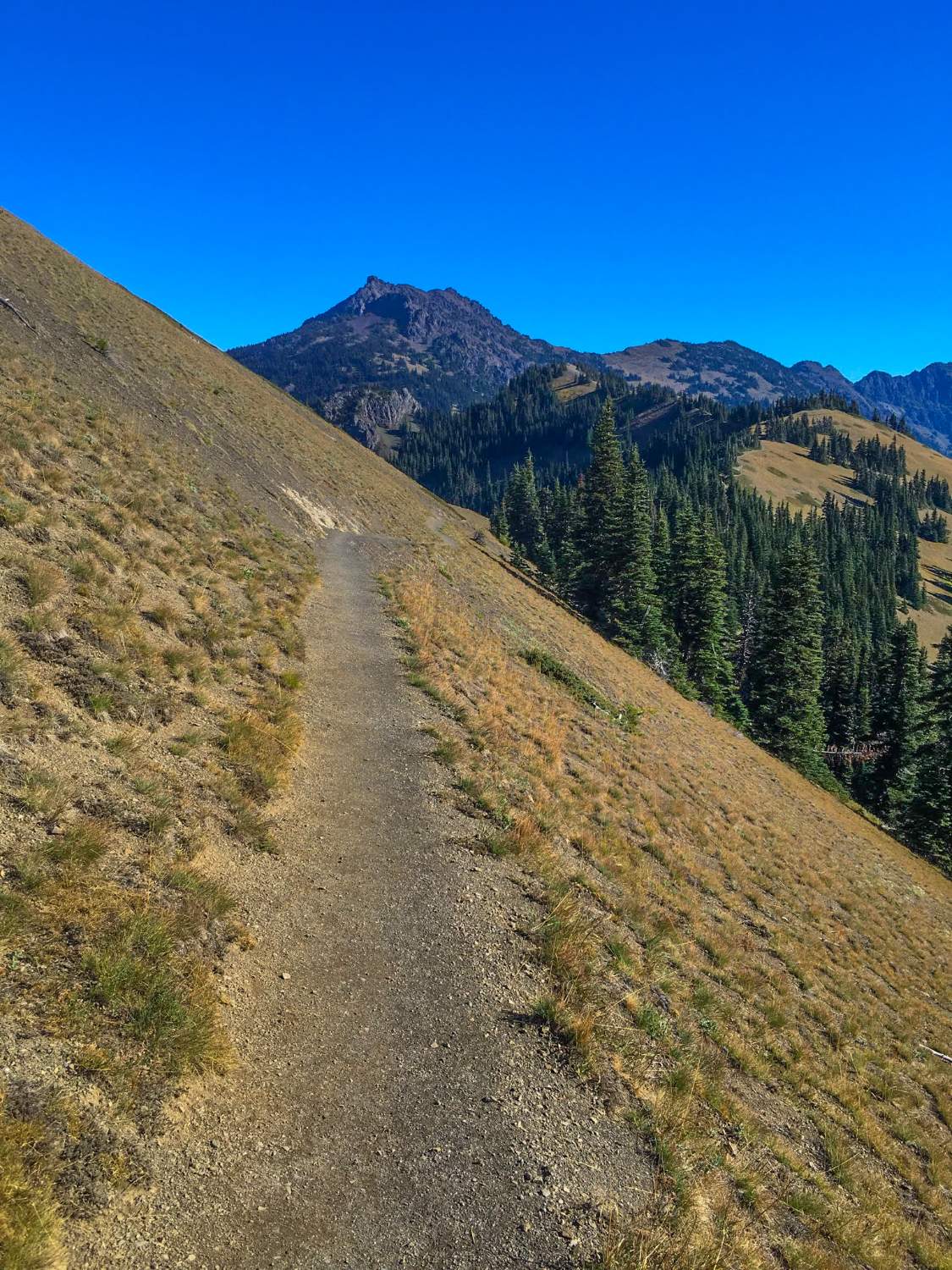 Solve A vertiginous trail at Hurricane Ridge jigsaw puzzle online with ...