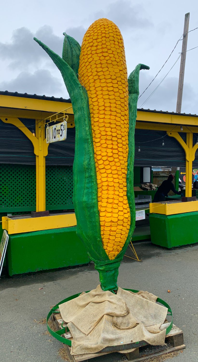 Solve Corn on the cob is great this year! jigsaw puzzle online with 128 ...