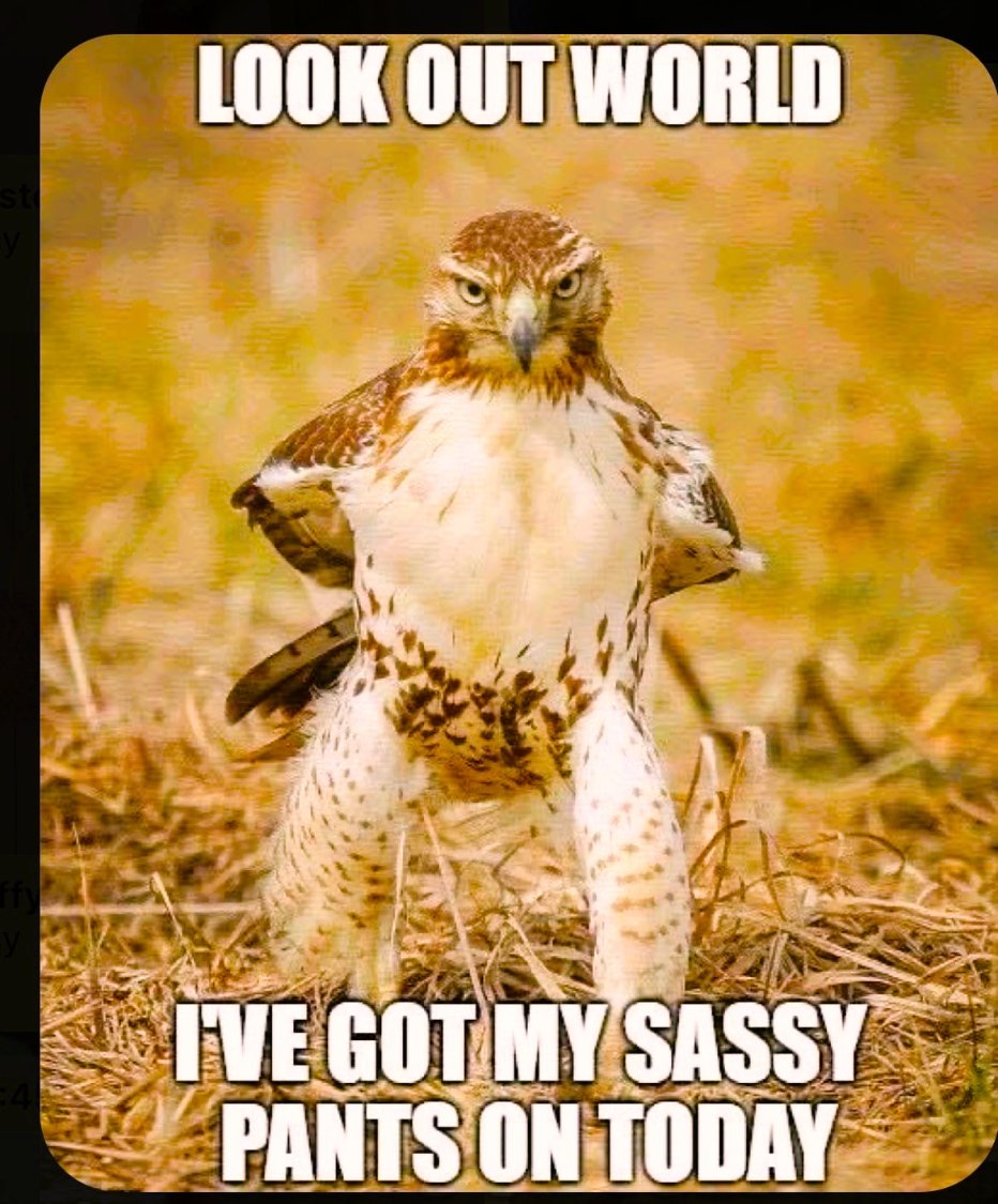 Solve Smarty Pants... jigsaw puzzle online with 20 pieces