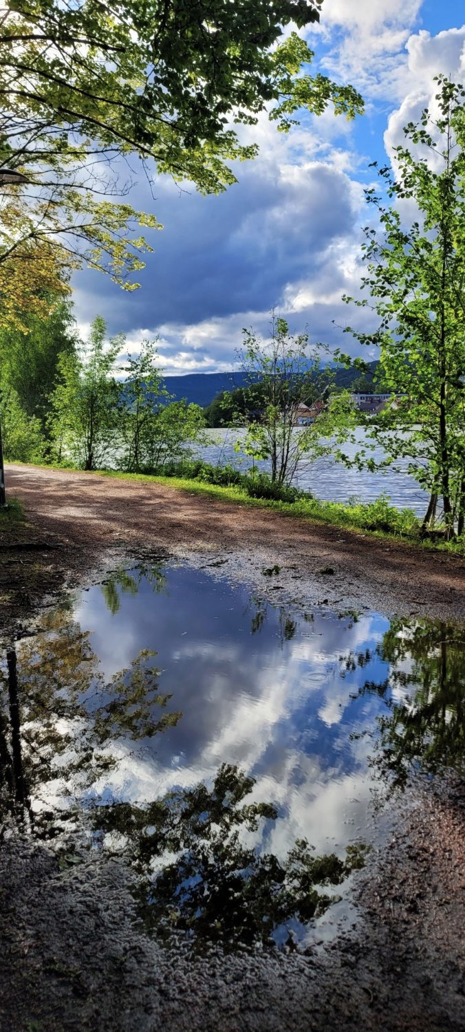 Solve REFLECTIONS jigsaw puzzle online with 36 pieces