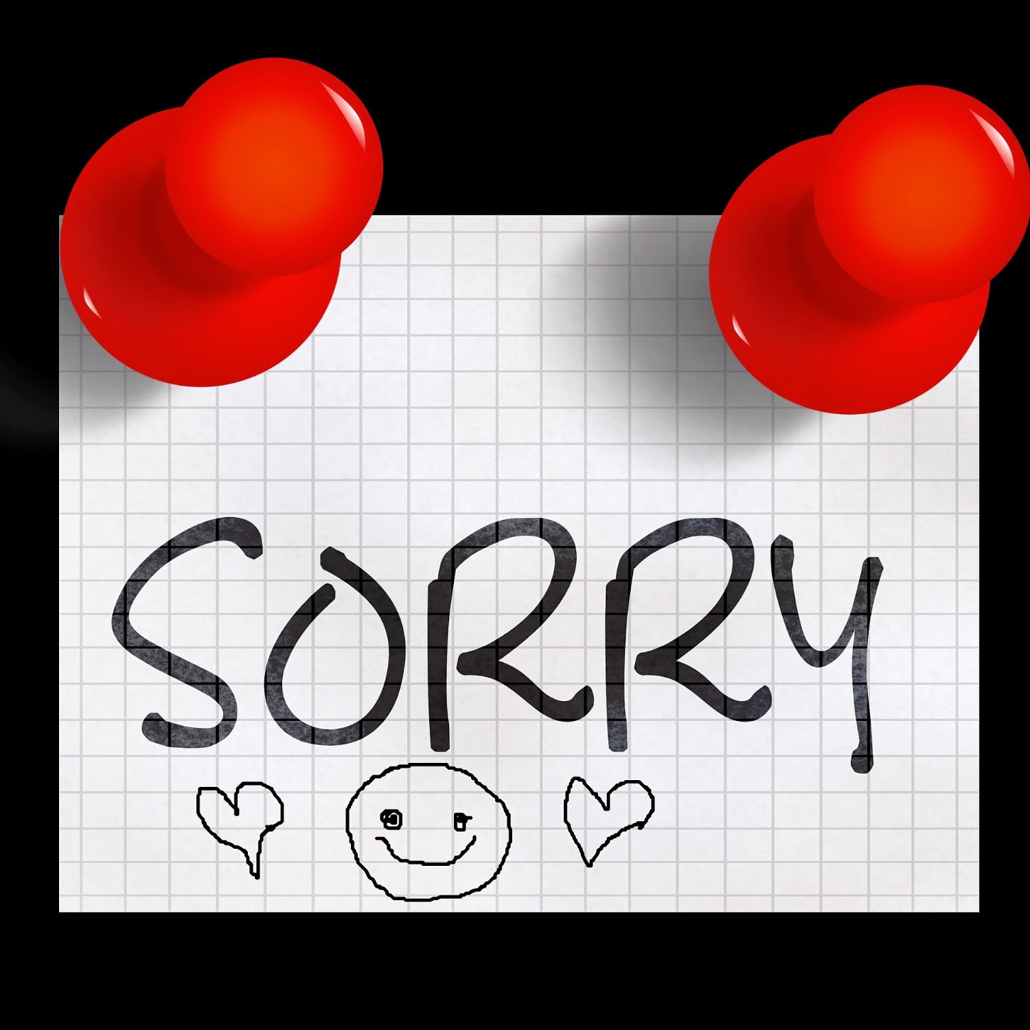 Solve sorry-1356580_1920 jigsaw puzzle online with 600 pieces