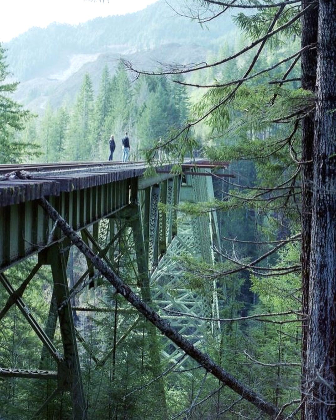 Solve Vance Creek Bridge, Washington State jigsaw puzzle online with ...
