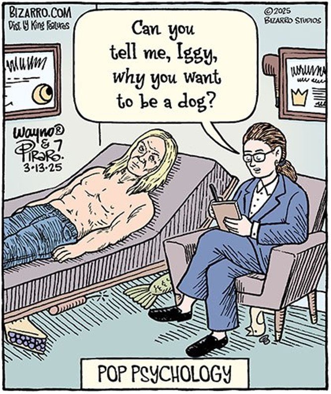 Jigsaw Puzzle | 30 pieces | Who Is Iggy Pop? (Piraro - 7 plus list of ...