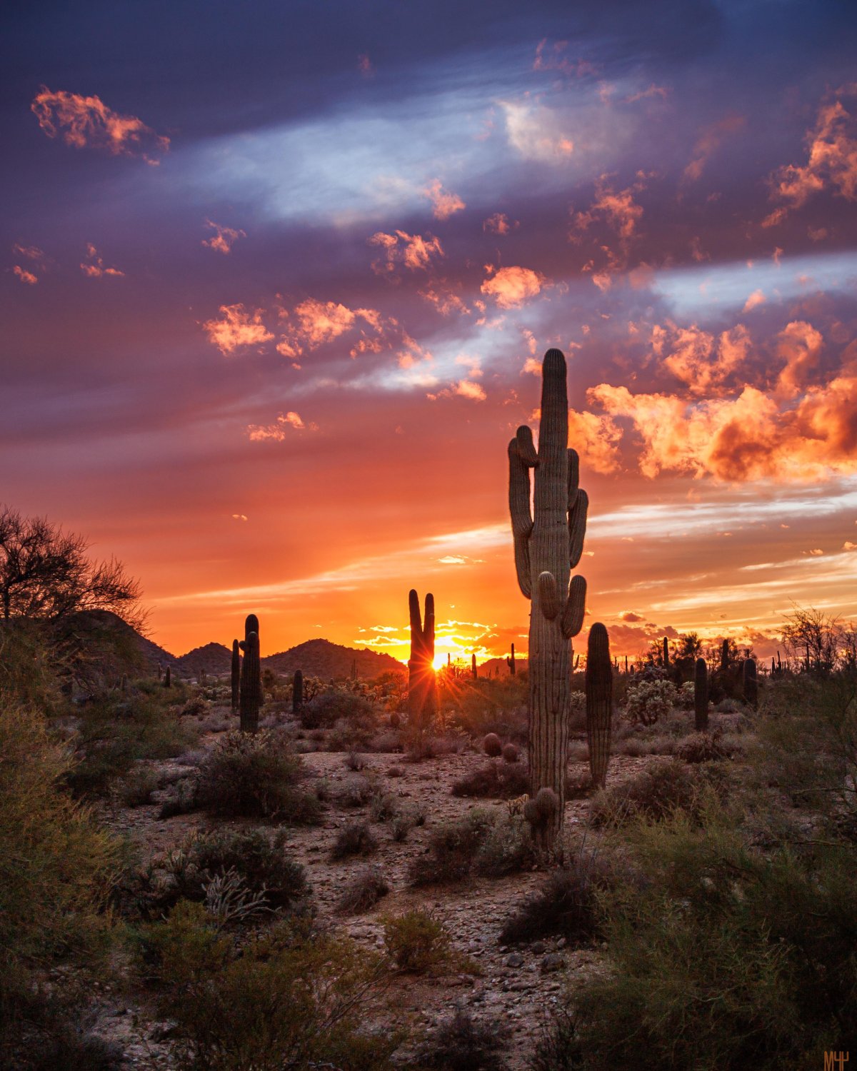 Solve Arizona jigsaw puzzle online with 154 pieces