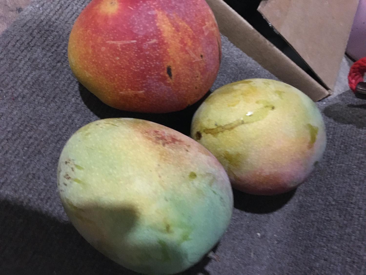 Solve Hooray! It is the beginning of Mango season jigsaw puzzle online ...