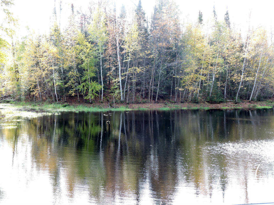 Solve Artistic reflection jigsaw puzzle online with 20 pieces