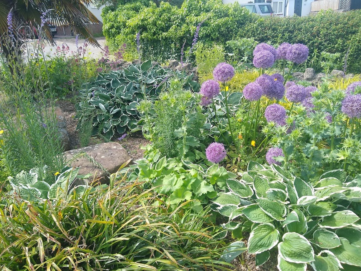 Solve 667 jigsaw puzzle online with 285 pieces