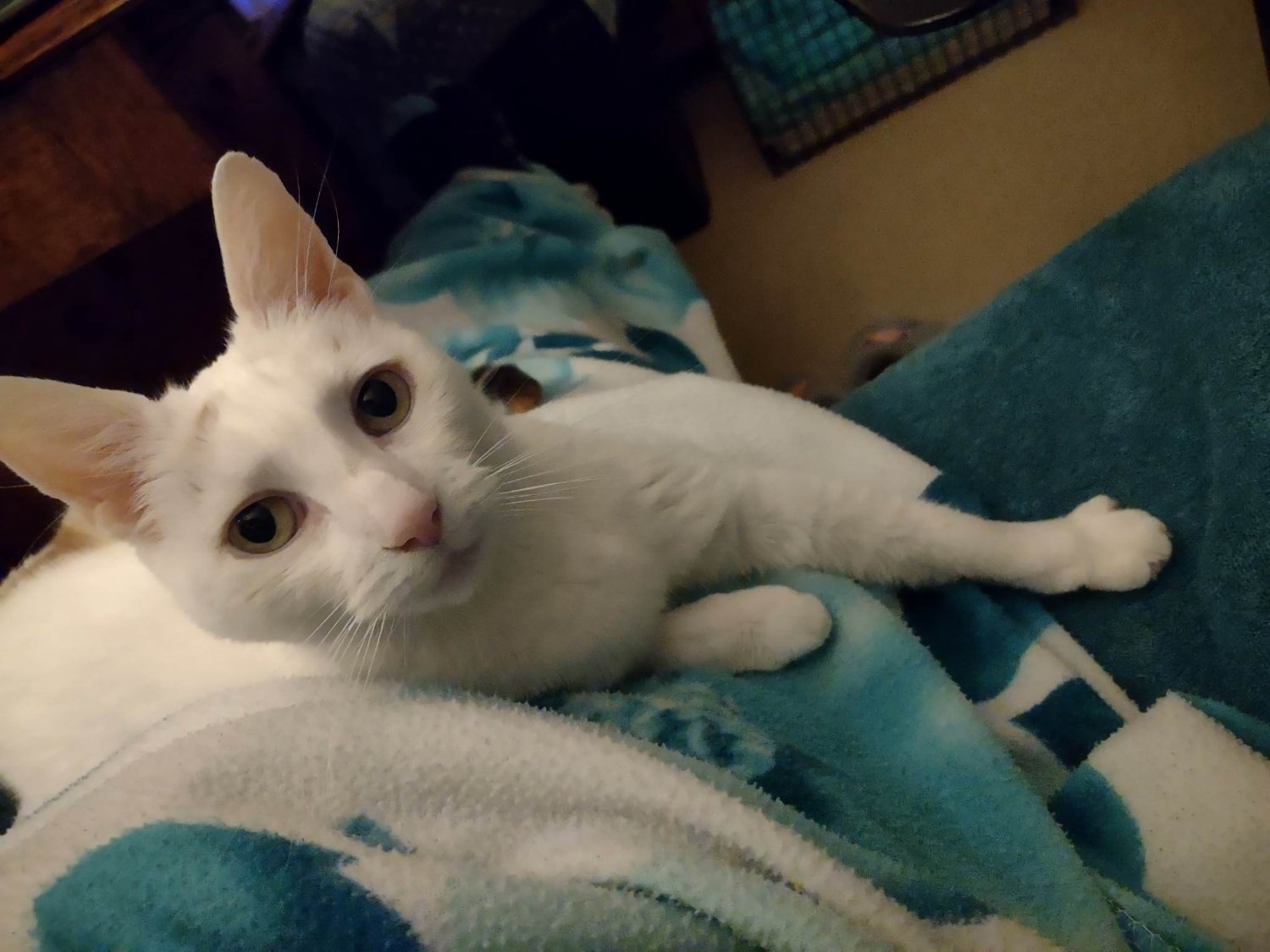 Solve Remembering Lily 1170 - my map and my seat (just pointing it out ...