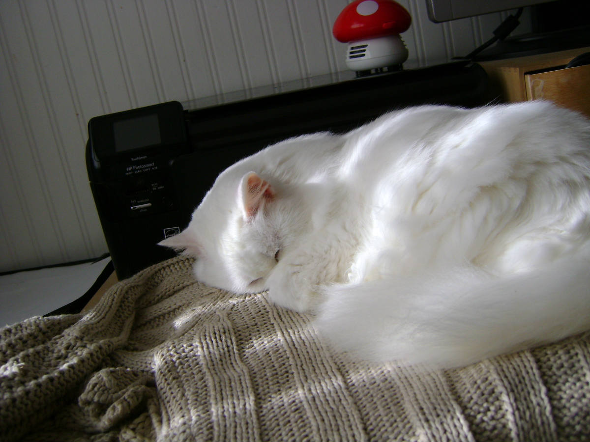 Solve Freya - Other spots are fun to visit but, cardigan, you are the ...