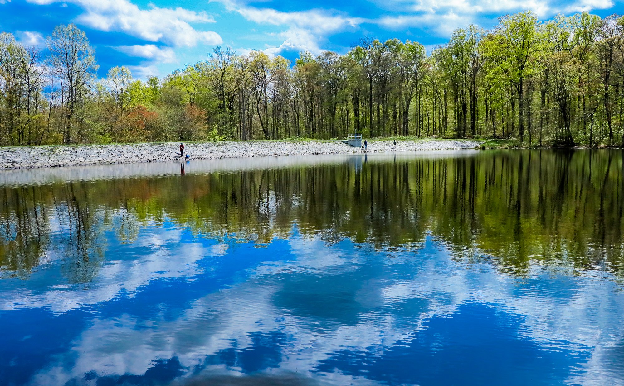 Solve French Creek SP_April 2024 (6 of 6) jigsaw puzzle online with 504 ...