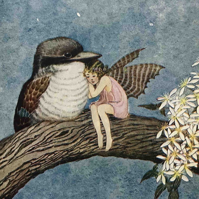 Solve "The Fairy Bridget and the Kookaburra" - from ELVES AND FAIRIES ...