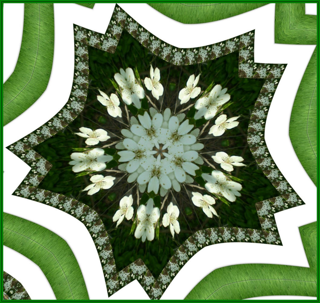 Solve Jaro / Spring jigsaw puzzle online with 100 pieces