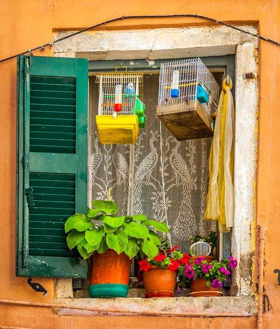 Solve BEAUTIFUL WINDOW jigsaw puzzle online with 72 pieces