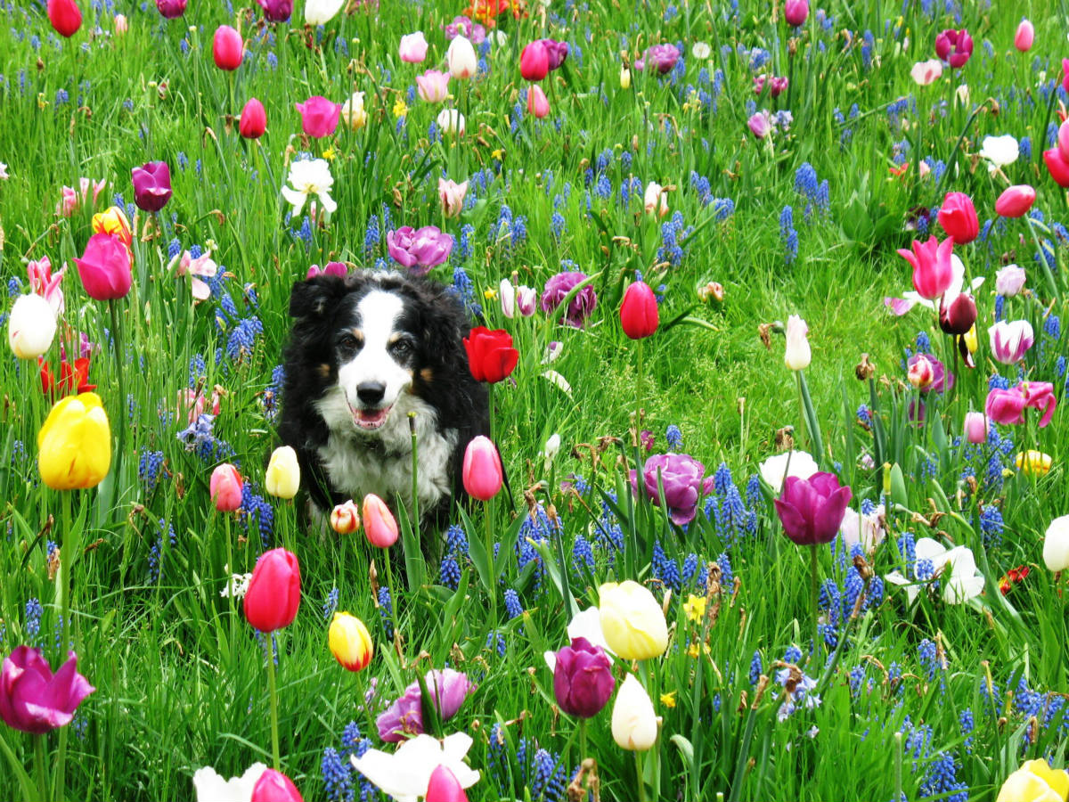 Puzzle | 108 pièces | Spring :) | Jigidi