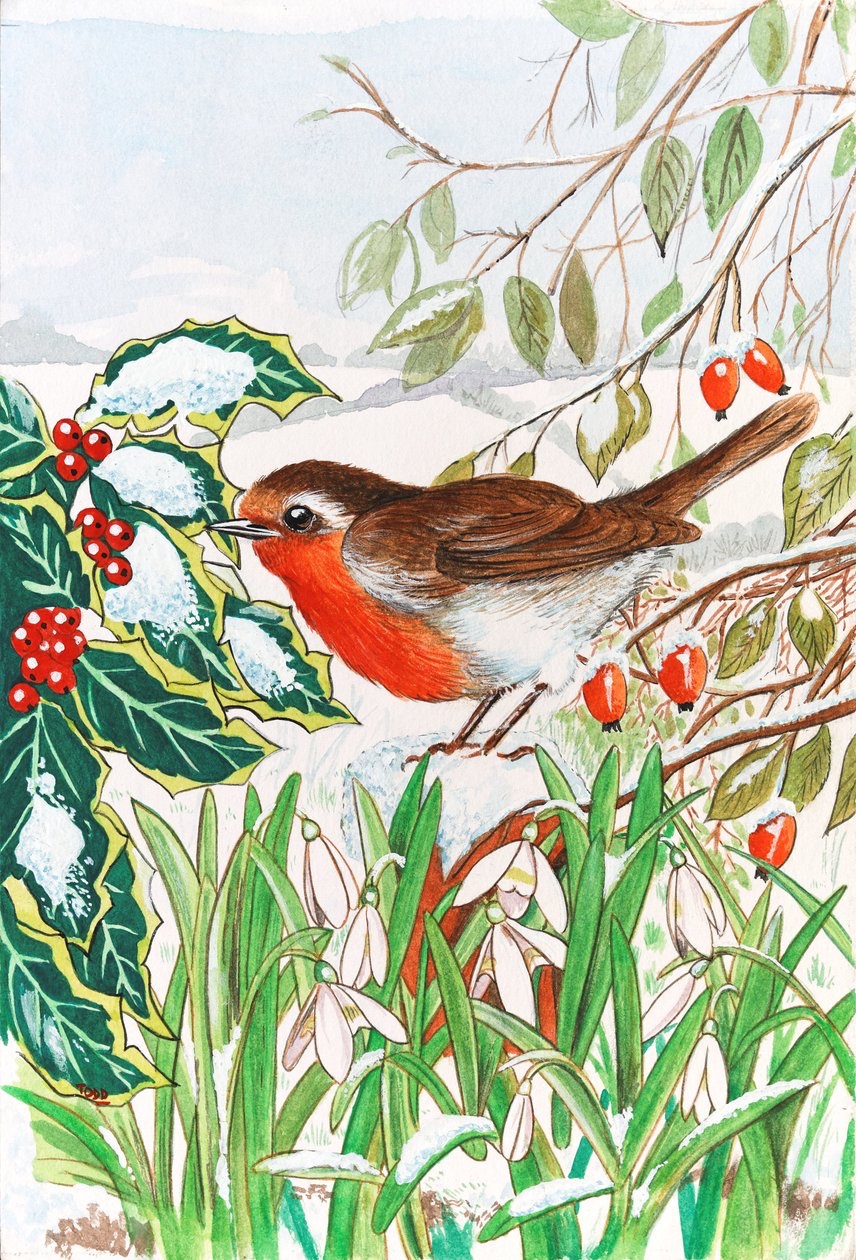 Solve Tony Todd - Robin and Snowdrops jigsaw puzzle online with 126 pieces