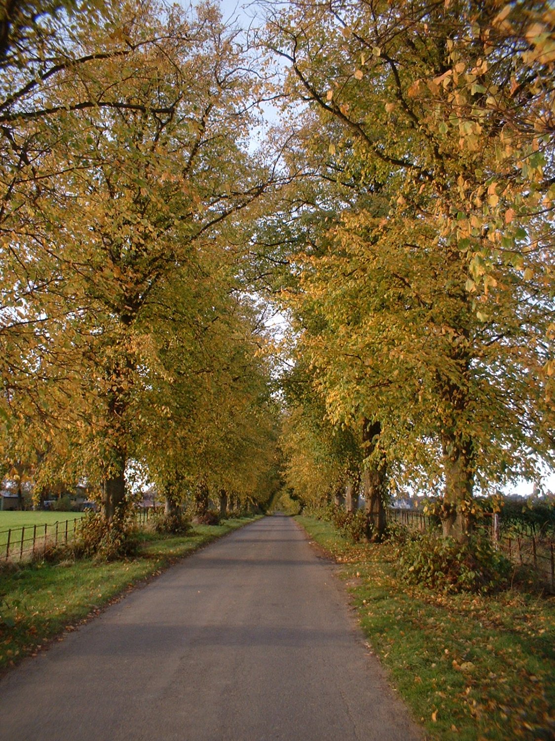 Solve Low Dinsdale, North Yorkshire. jigsaw puzzle online with 88 pieces