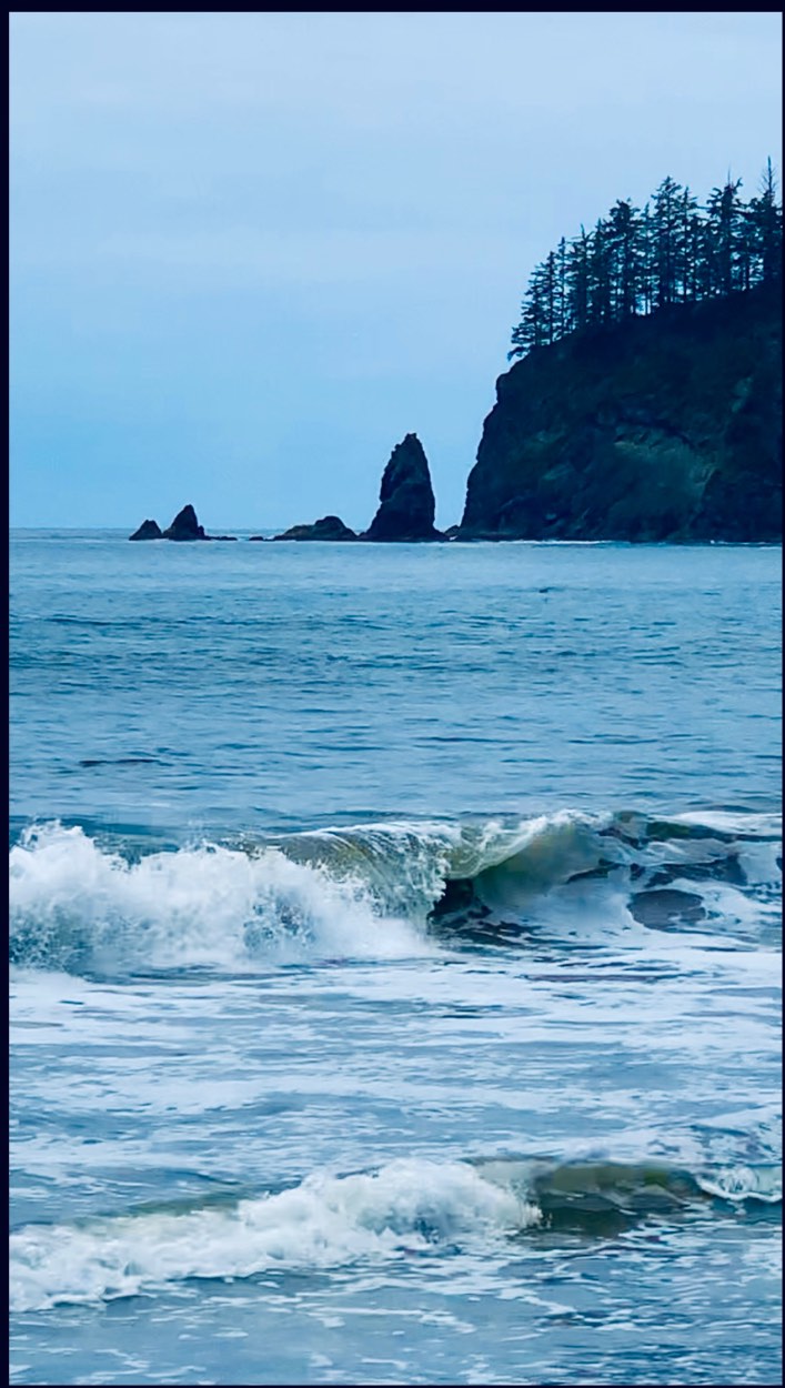 Solve Coast in Washington state jigsaw puzzle online with 60 pieces