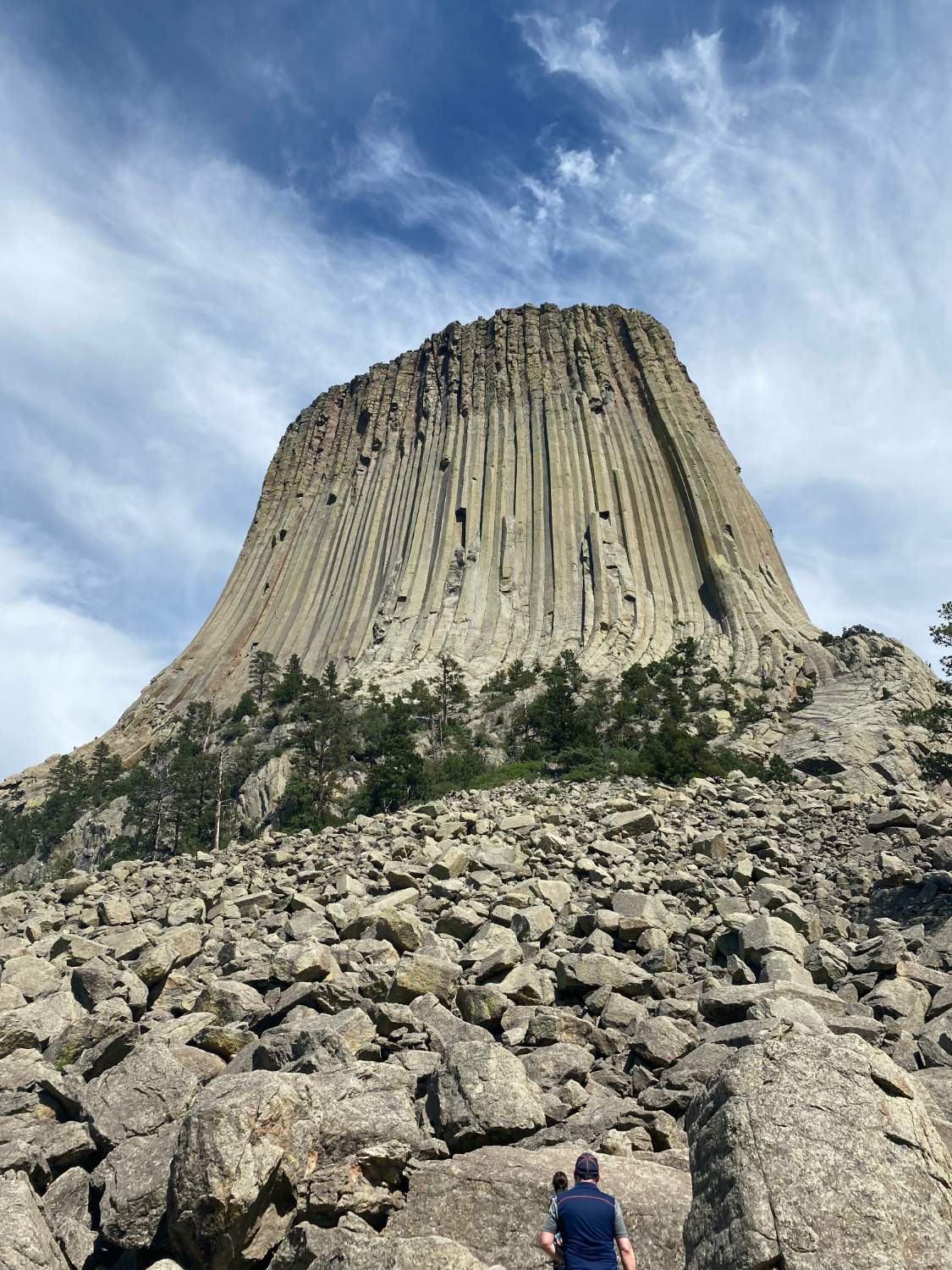 Solve Wyom:Devil's Tower Jul2022 SWL 3494 jigsaw puzzle online with 500 ...