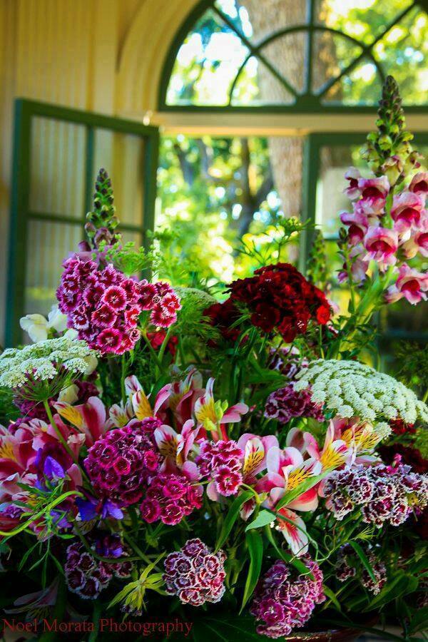 Solve Flowers for today :-) jigsaw puzzle online with 24 pieces