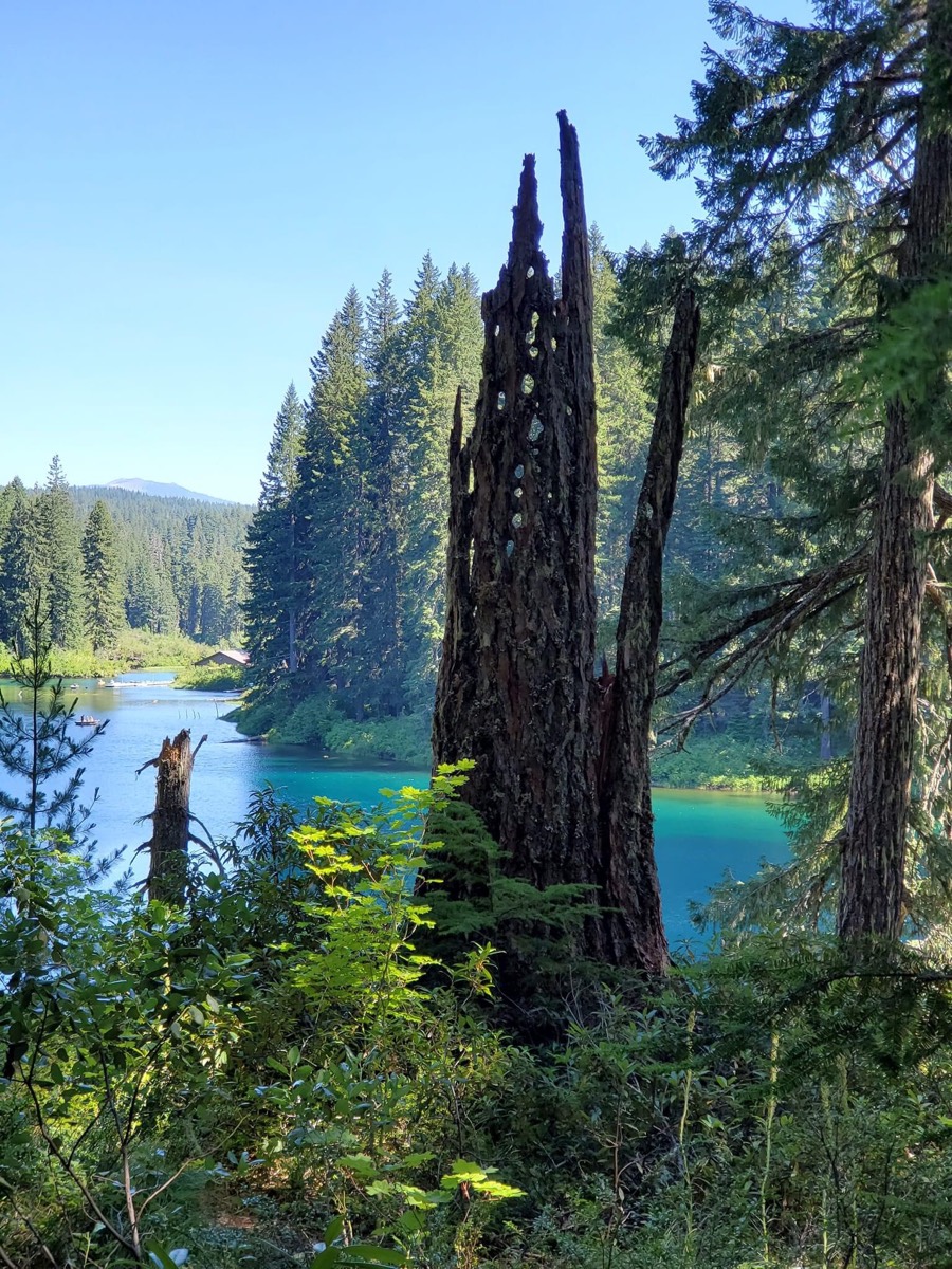 Solve Oregon jigsaw puzzle online with 192 pieces