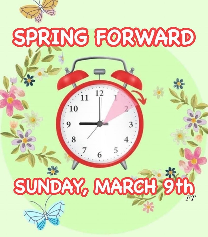 Solve Spring Forward March 9 from Building Up Buttercups FB jigsaw ...