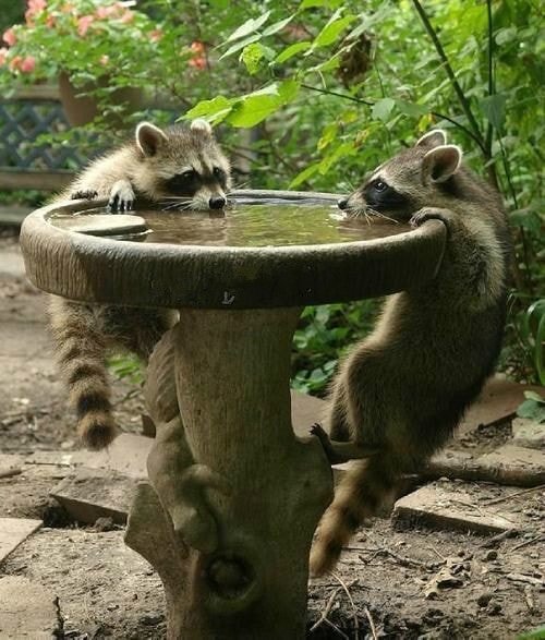 Solve Little Rascals :)) jigsaw puzzle online with 72 pieces