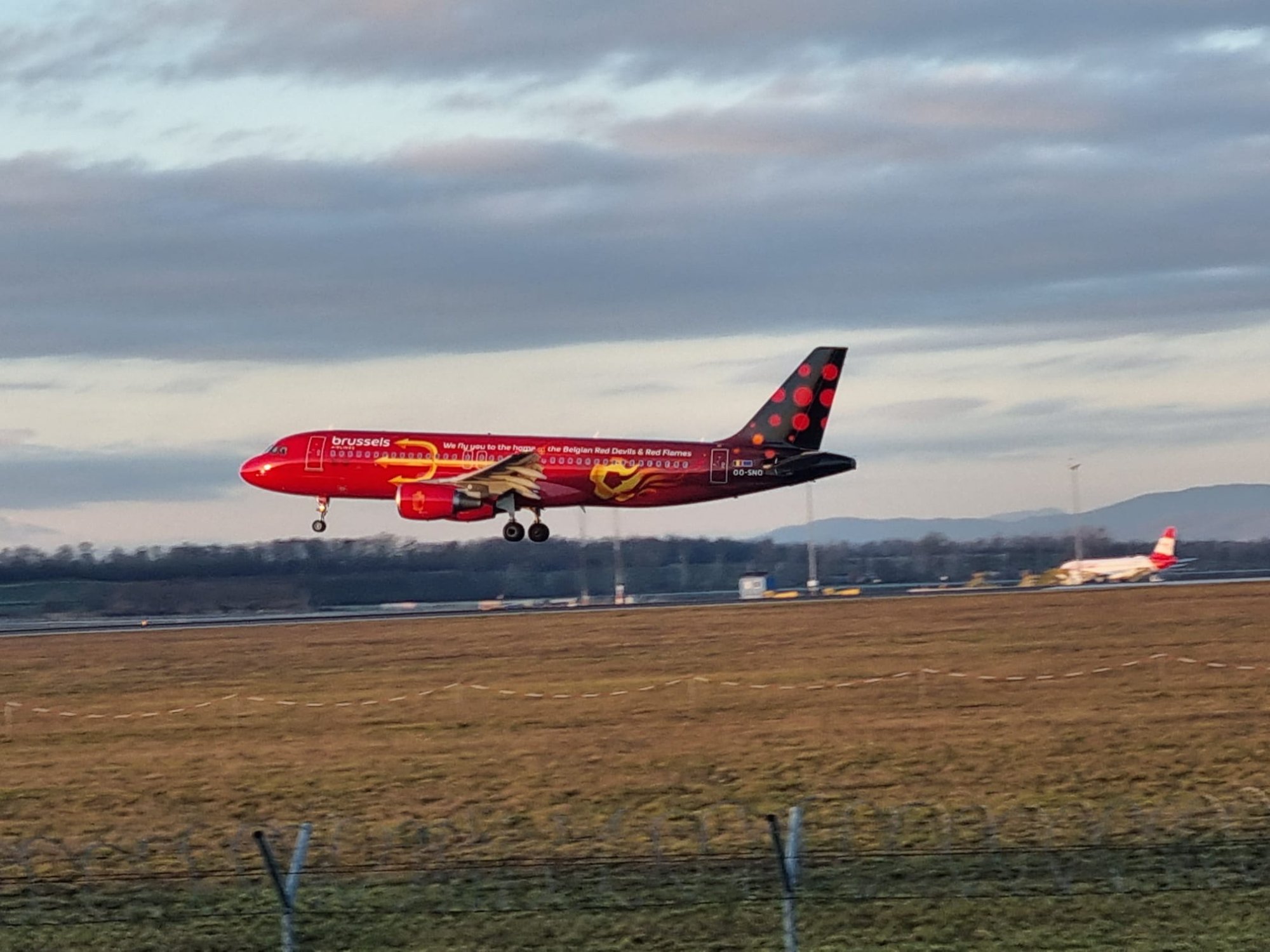 Solve Airbus A320 Red Devils & Red Flames Livery Brussels Airlines ...