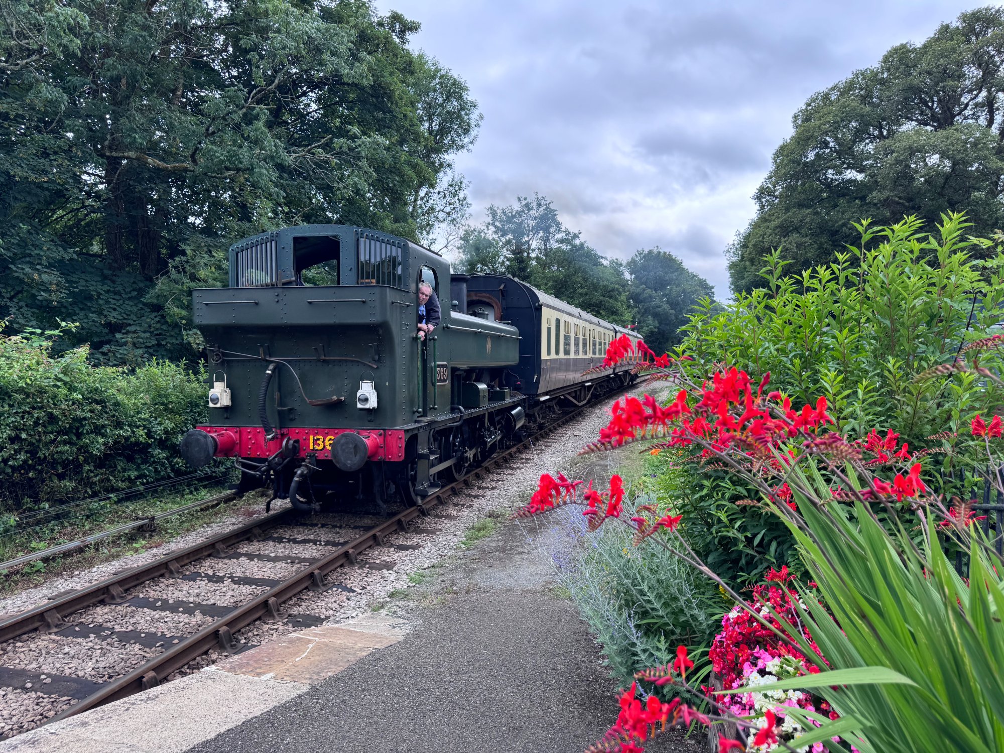 Solve GWR 1366 Class 0-6-0PT 1369 passes through Staverton with a ...