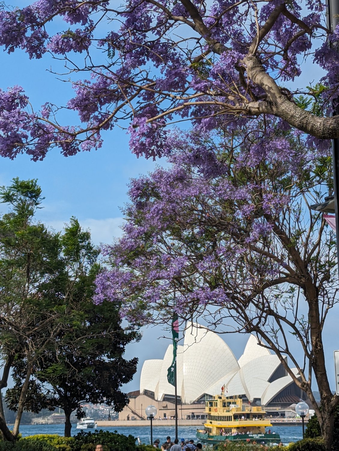 Solve purple jigsaw puzzle online with 336 pieces