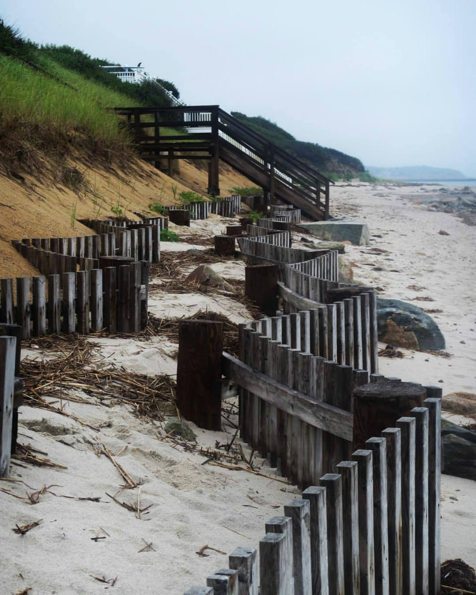 Solve Erosion control on the dunes of Cape Cod. jigsaw puzzle online ...