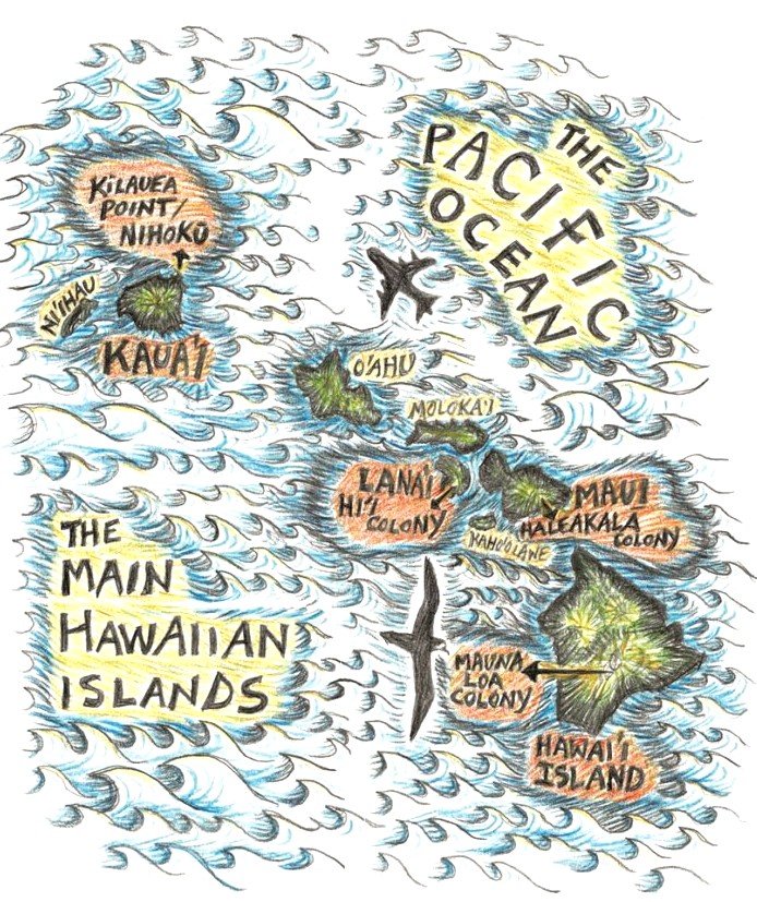 Solve Caren Loebel-Fried - Block-print Map of Hawaiian Islands ...
