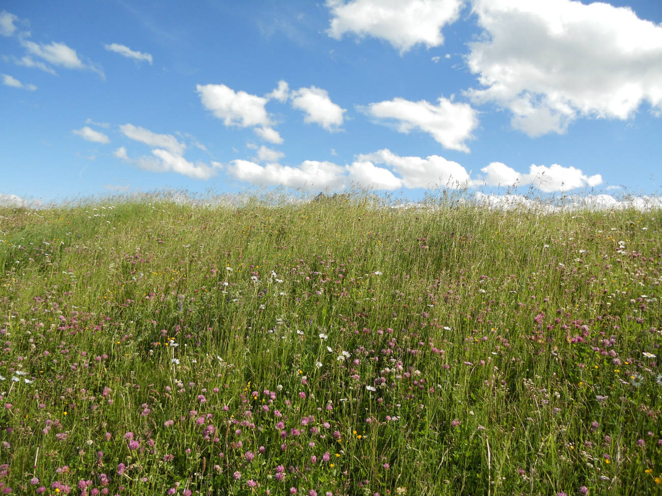 Solve Dolomitt jigsaw puzzle online with 130 pieces