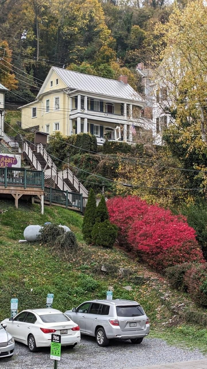 Solve IMG_2164 jigsaw puzzle online with 180 pieces