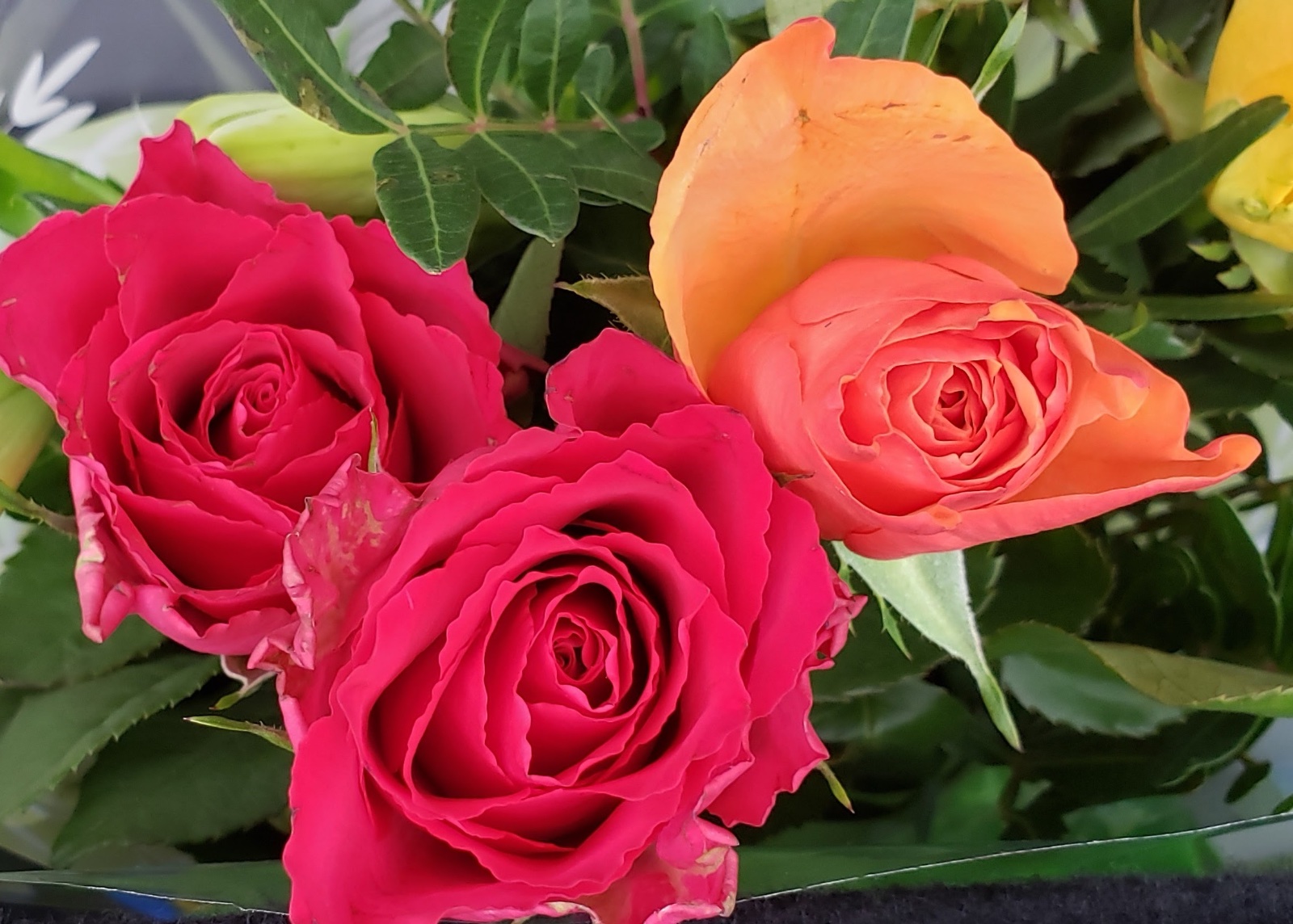 Solve Roses jigsaw puzzle online with 48 pieces