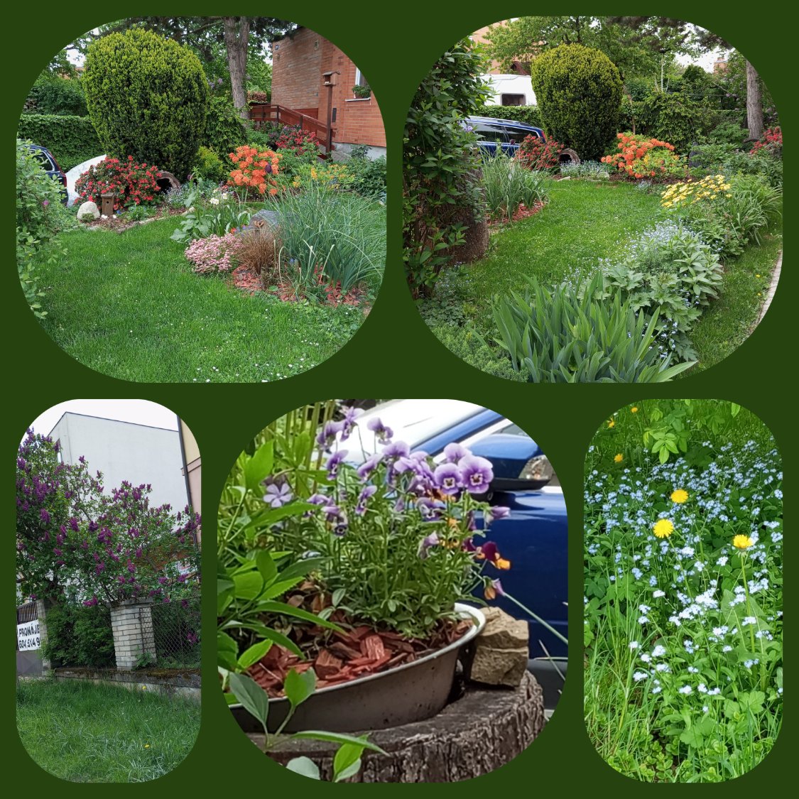 Solve 4.5.2025 - Jaro ve Zlíně / Spring in Zlín jigsaw puzzle online ...