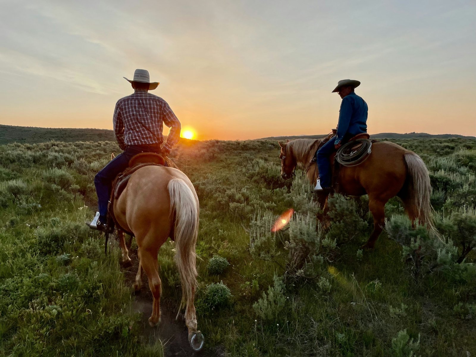 Solve Cowboys jigsaw puzzle online with 48 pieces